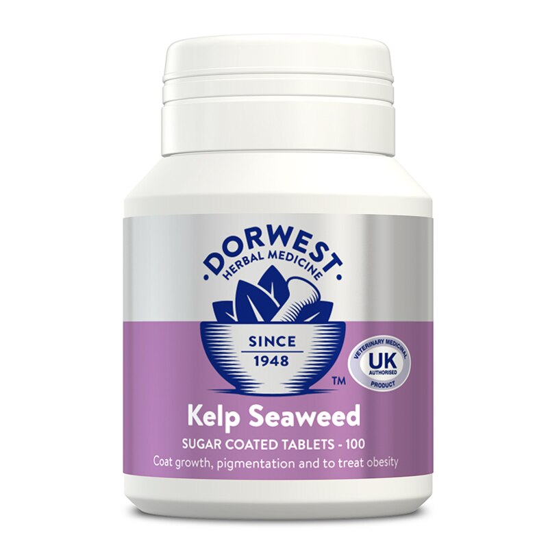 Seaweed medicine store